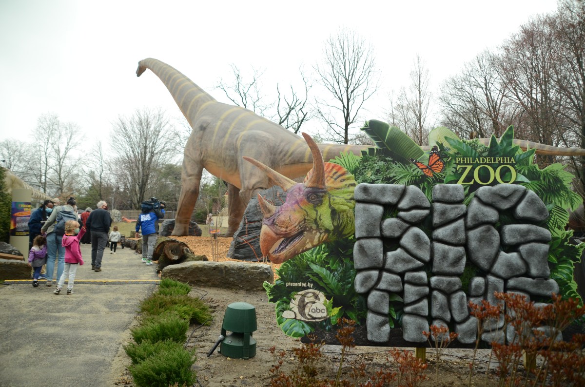 Big Time Fun at Philly Zoo – Sweet Mini Moments