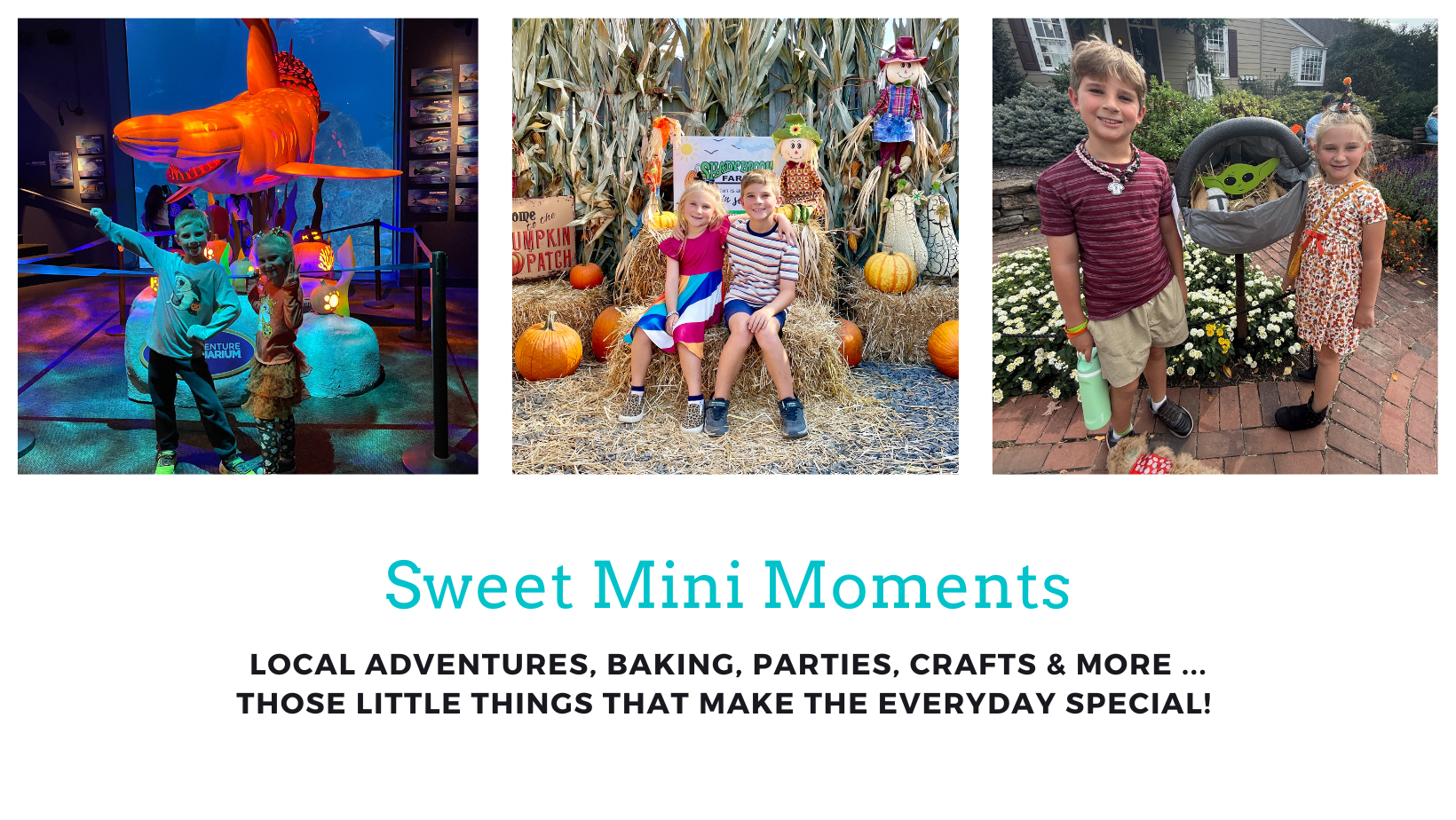 Sweet Mini Moments – Local Adventures, Baking, Parties, Crafts & More ...
